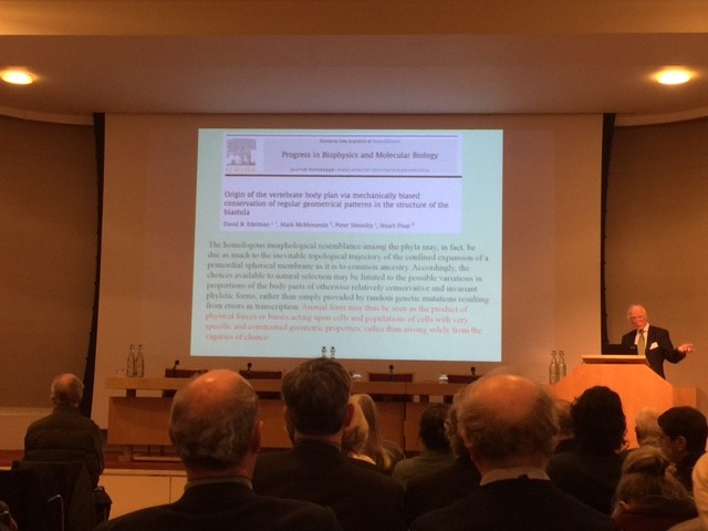 A Candid Interview with Embryo Geometry Theorist Stuart Pivar ...